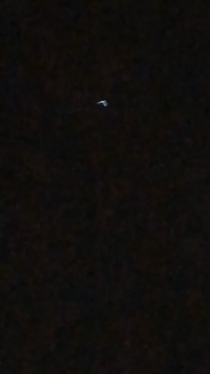 Unbelievable UFO Sighting Captured During Uber Ride: A Bizarre ...