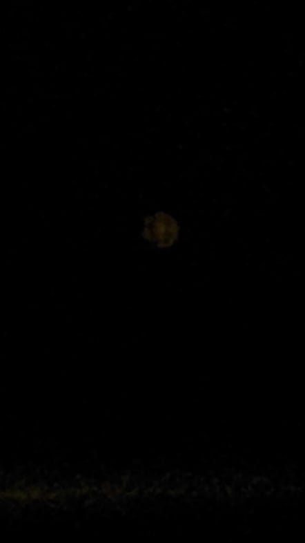 Mysterious Red Ball of Light Spotted in Rijeka, Croatia: Captured on ...